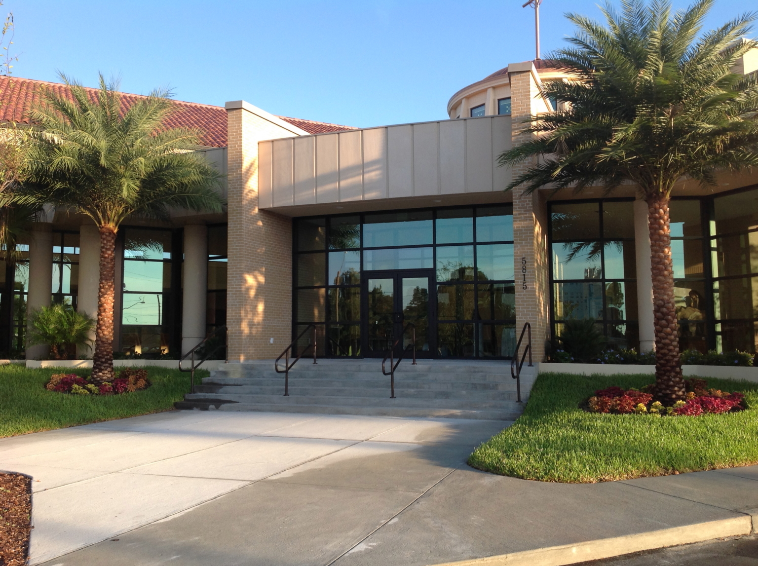 Arbor Care – Synergy Landscapes